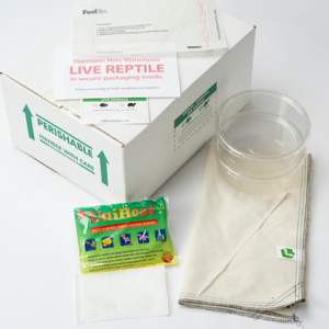 Reptile Shipping Kit #3 - 15"x11"x7"