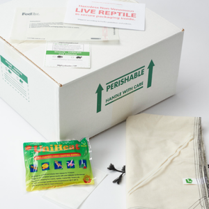 Reptile Shipping Kit #4 - 16"x16"x8"
